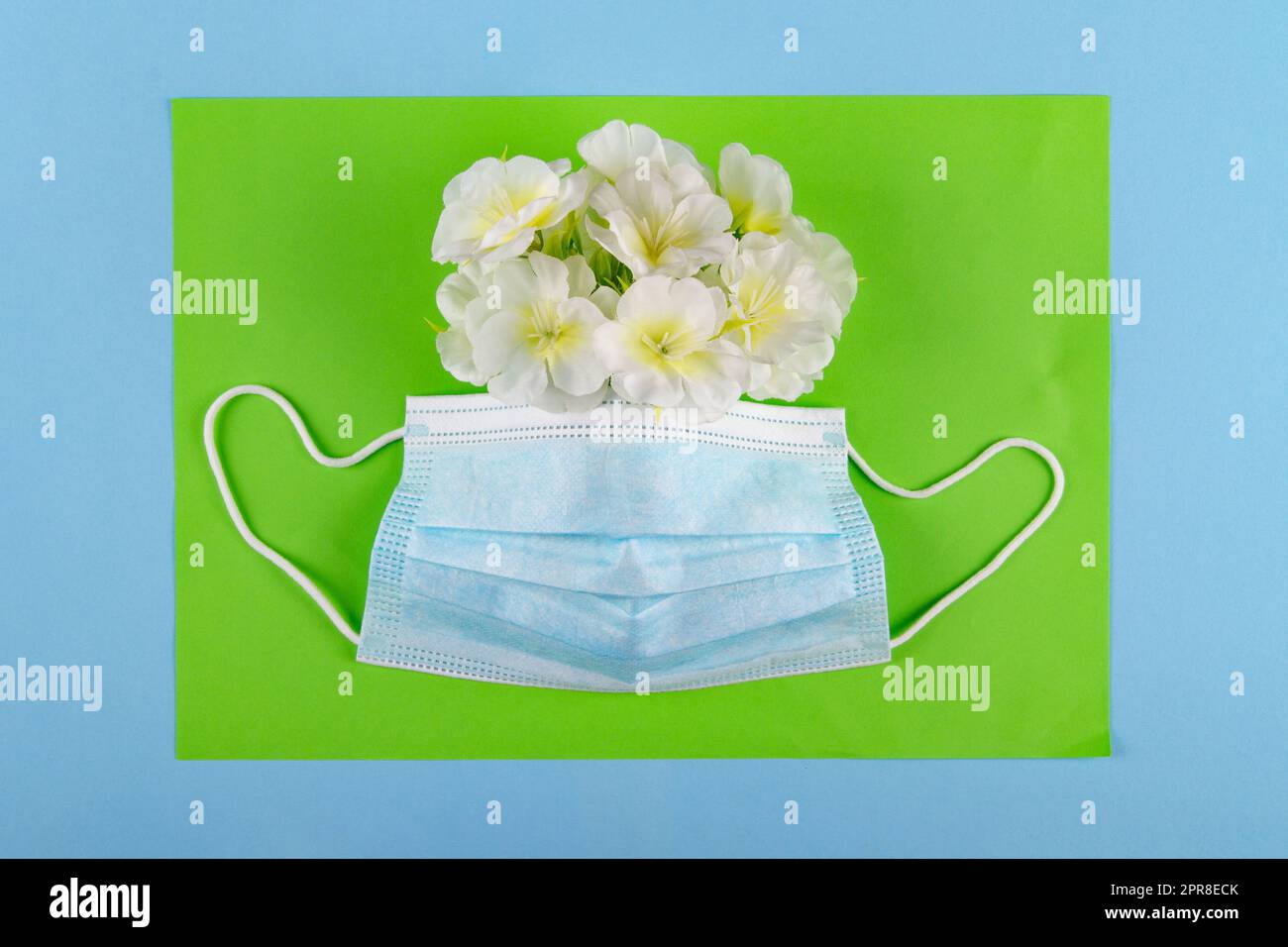 Top view of medical mask and bouquet of white flowers on vibrant green ...