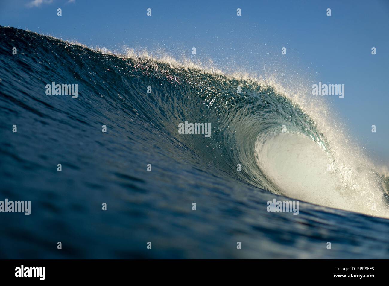A majestic, powerful wave is rolling forward the shore under a blue sky ...