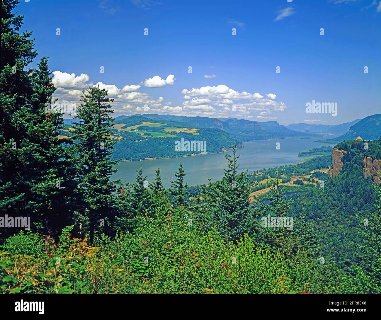 Columbia River Gorge in Oregon Stock Photo - Alamy