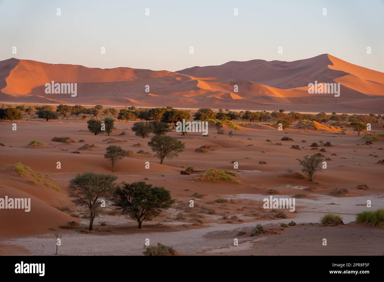 Sossusvlei Namibia Sand dunes Stock Photo - Alamy