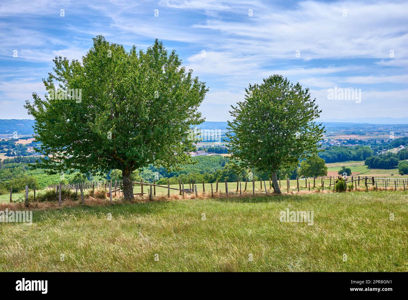 Sunlight france forest hi-res stock photography and images - Alamy