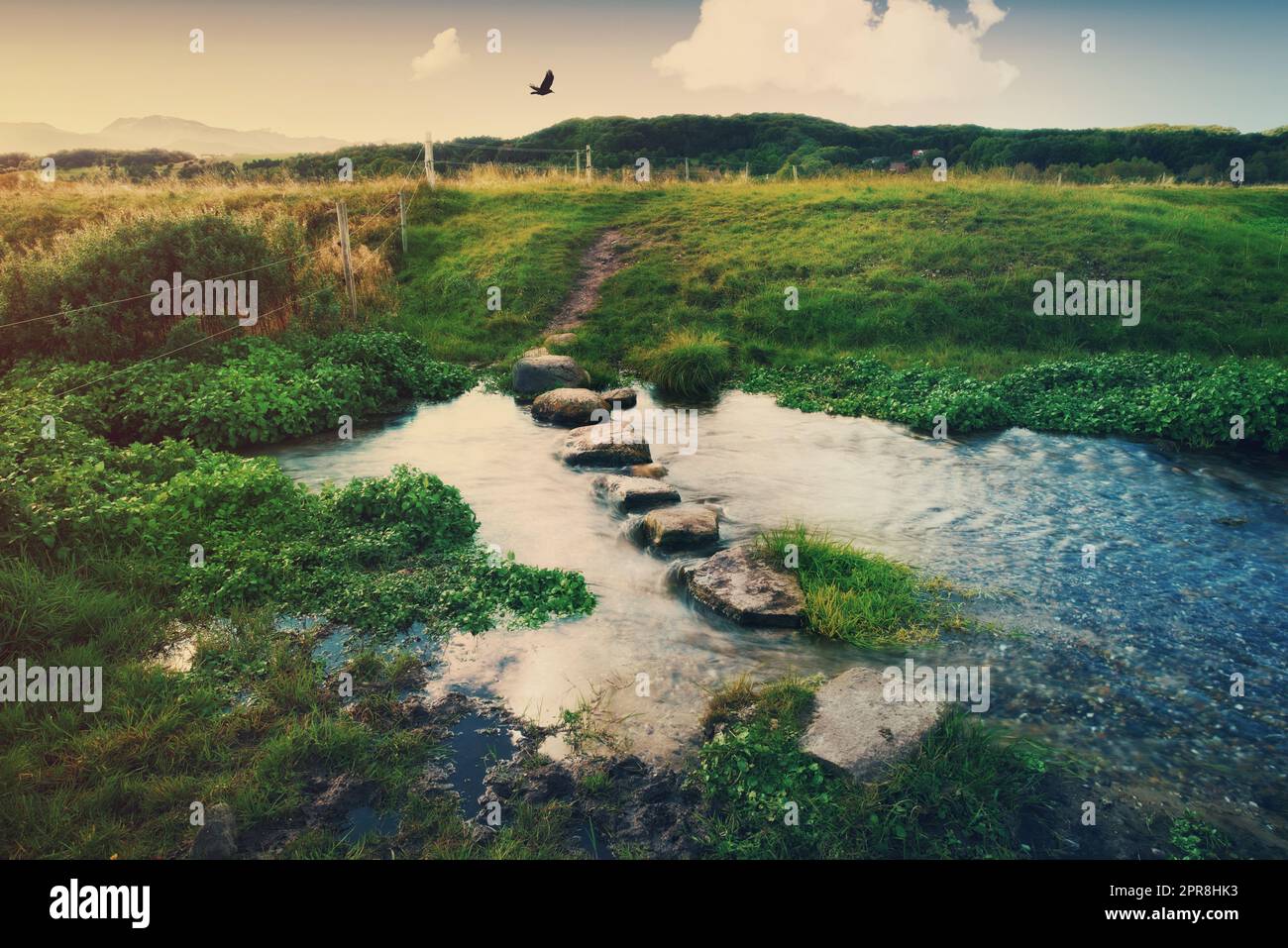 Nature in Denmark. A landscape photo of a small river - Rebild, Denmark ...