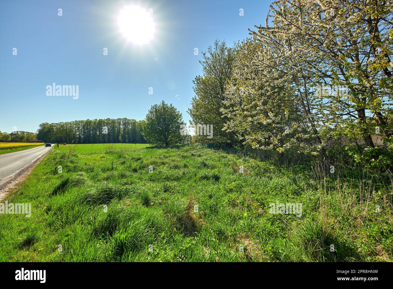 Road to outdoor nature on a warm sunny day in spring. Route in ...