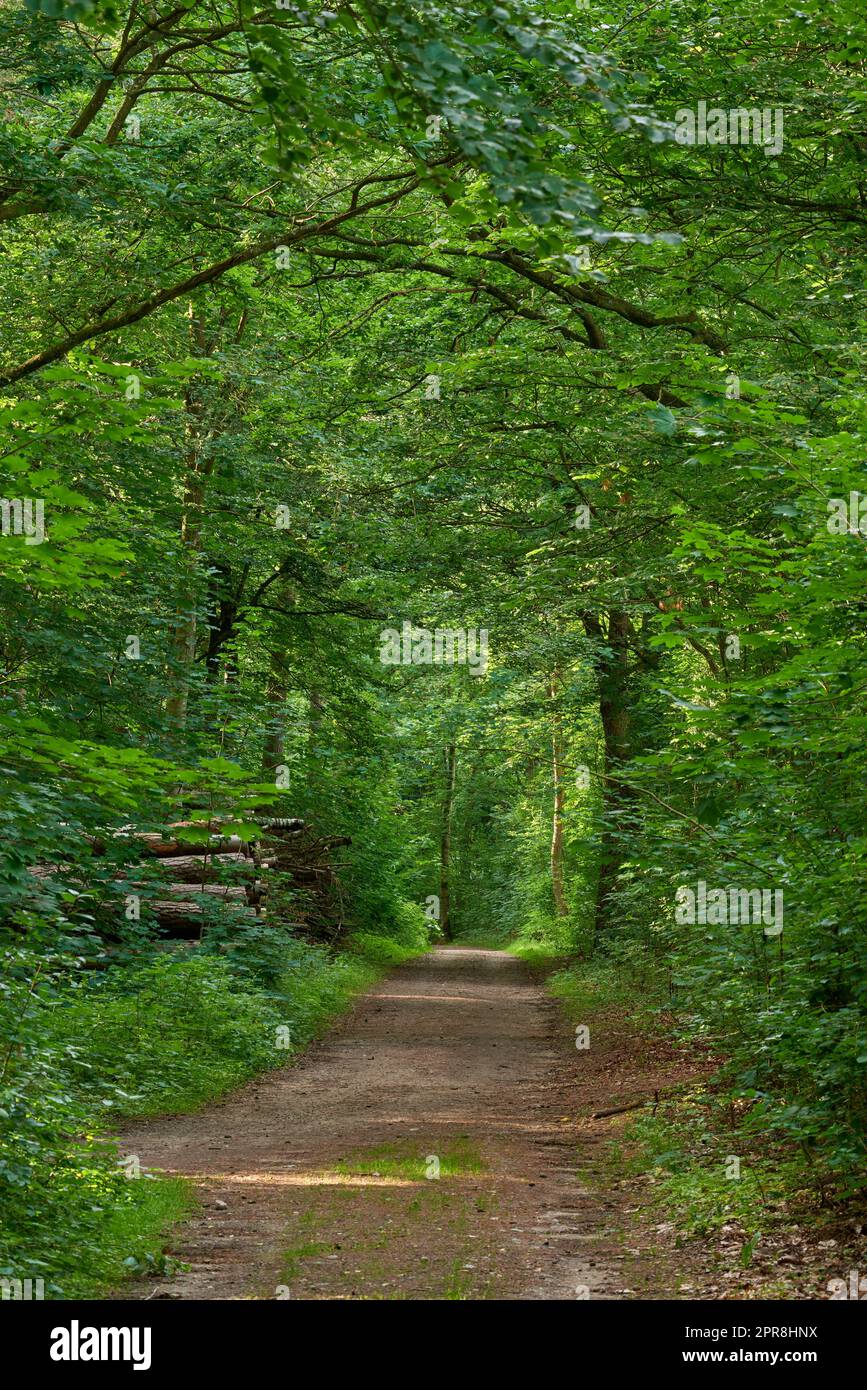 Explore denmark hi-res stock photography and images - Alamy