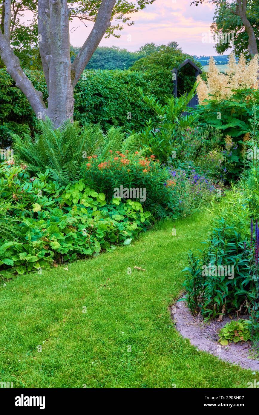 Many trees hi-res stock photography and images - Alamy