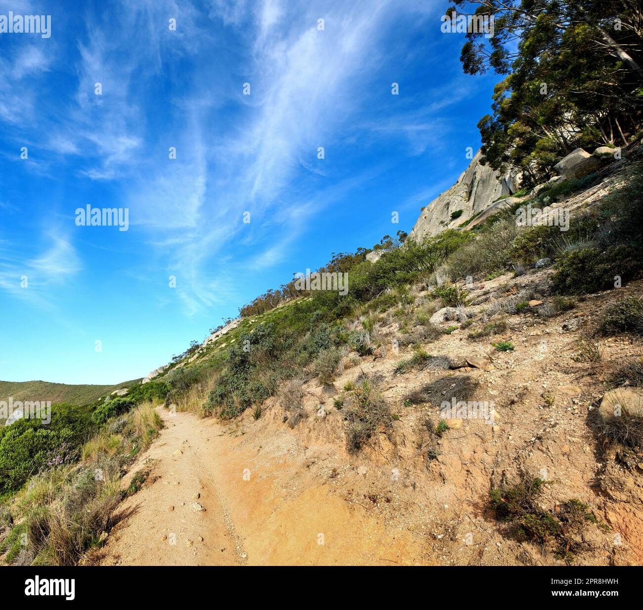 A quiet mountain trail on Table Mountain in Cape Town, South Africa ...