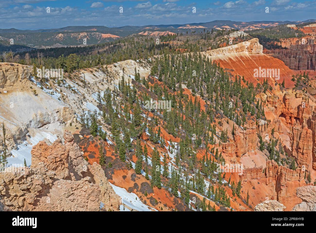 Spring Snow in the Red Rocks and Pines Stock Photo - Alamy