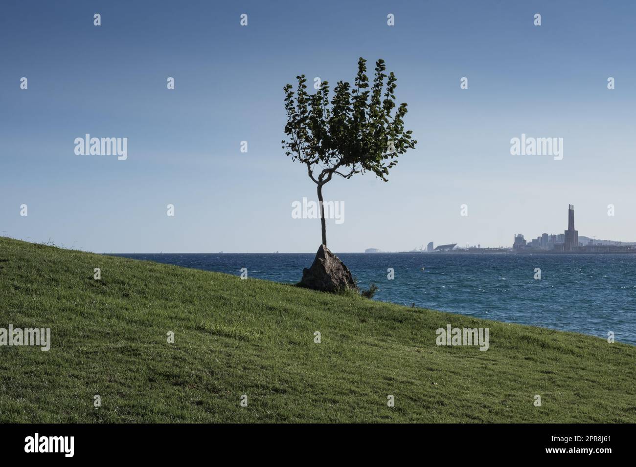Barcelona, Spain. Viewpoint of city from Montgat Hill with solitary ...