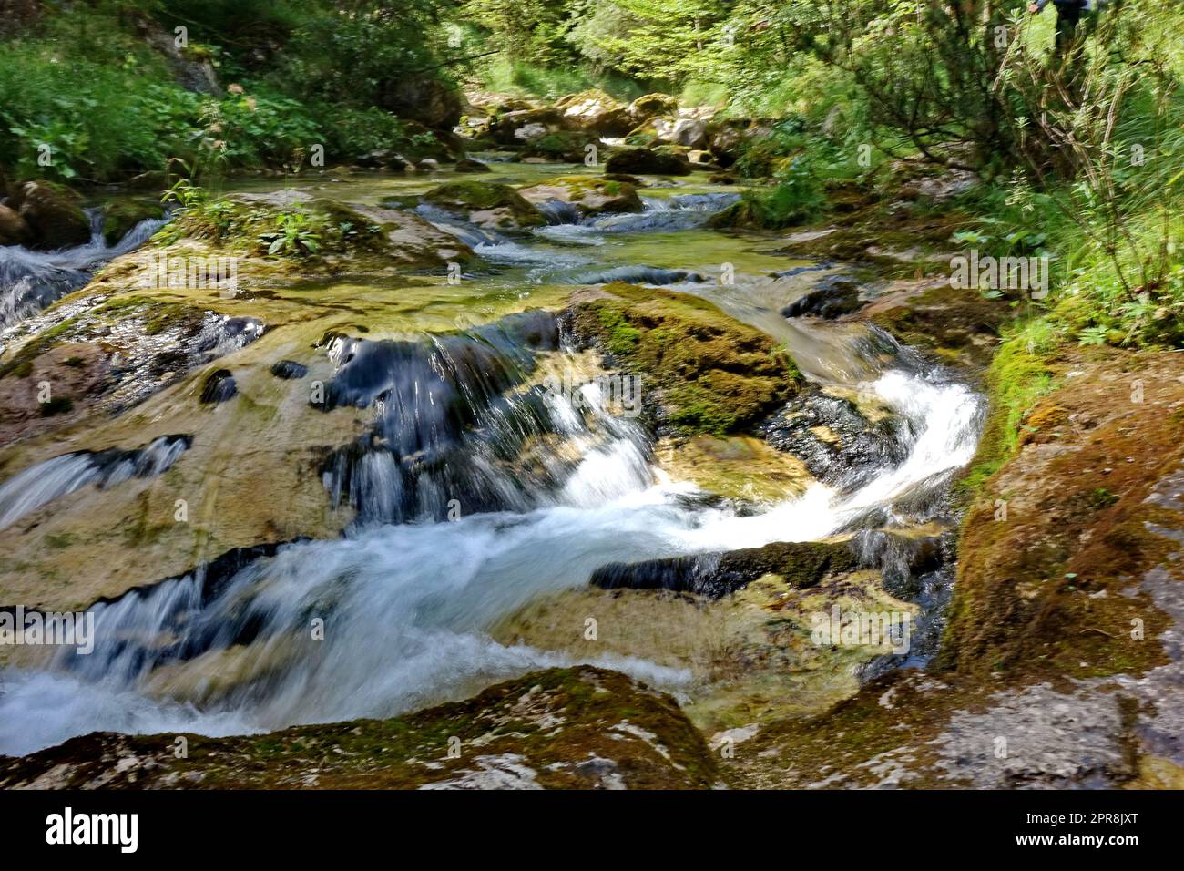 Upper Bavaria, Bavarian Prealps, Mountain stream, stream, clean water ...