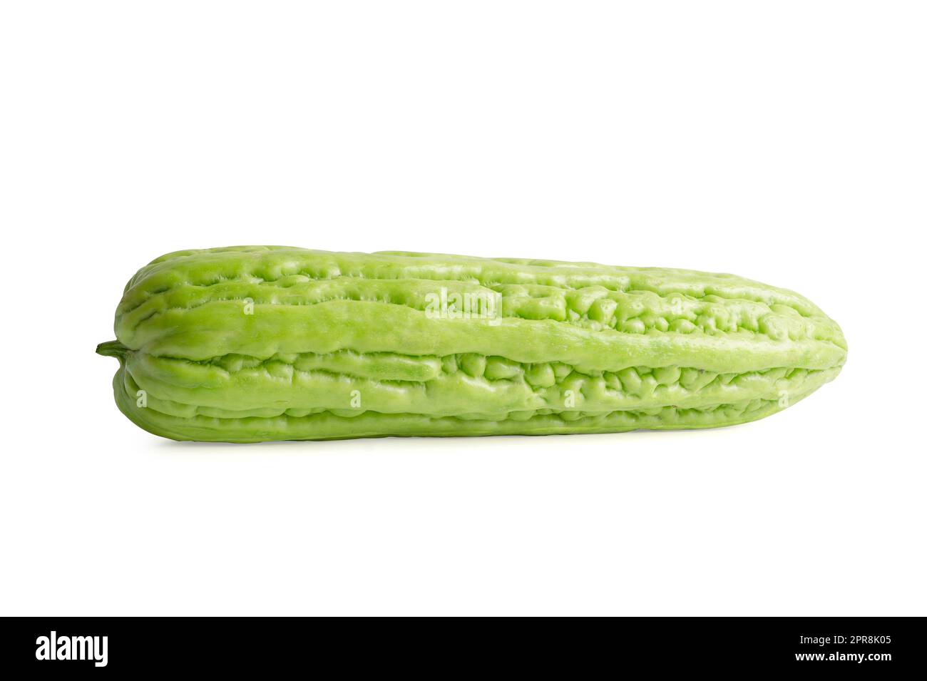 Momordica charantia isolated on white background with clipping path ...