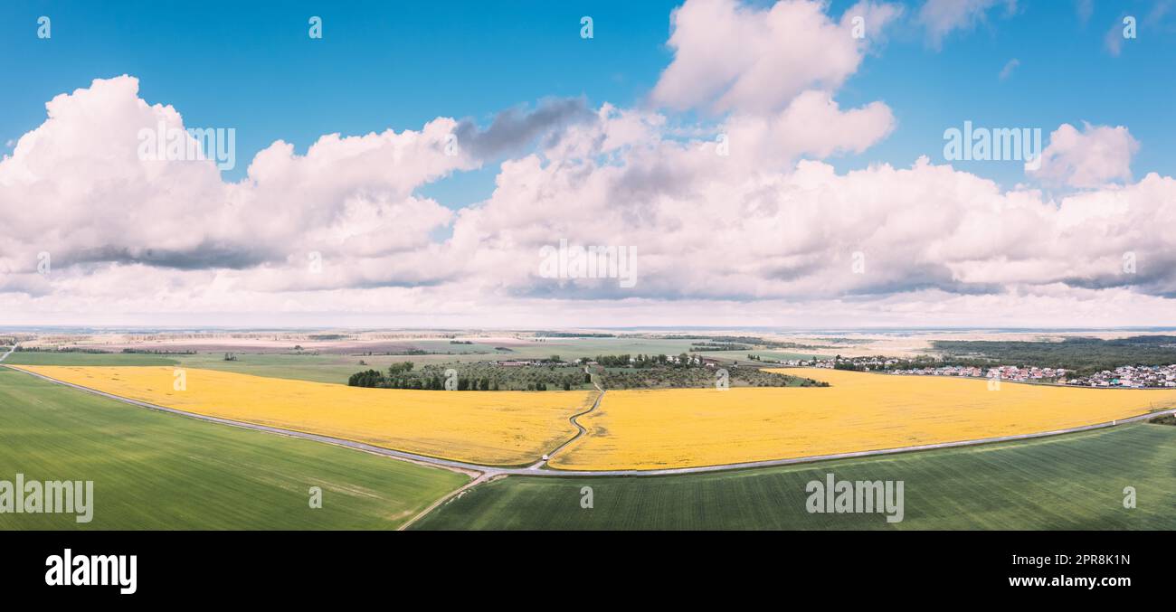 Beautiful view rapeseed flowers field hi-res stock photography and ...