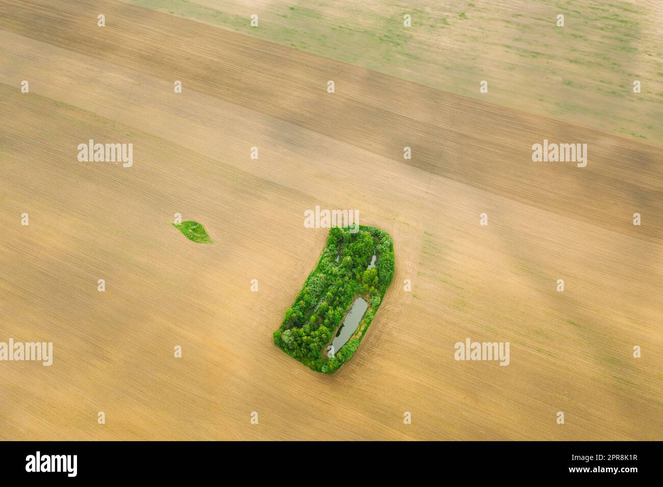 Small Green Natural Island With Green Grass, Forest And Small Pond In ...