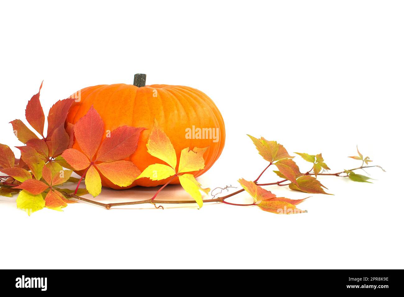 Rustic fall still life Cut Out Stock Images & Pictures - Alamy