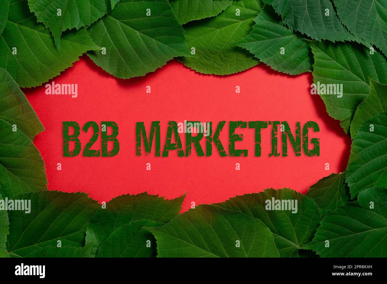 Conceptual display B2B Marketing. Business idea Partnership Companies ...