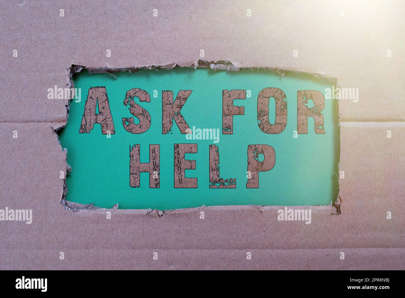 Professional cardboard hi-res stock photography and images - Alamy