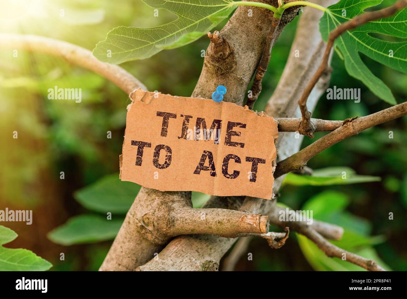 Inspiration showing sign Time To Act. Conceptual photo Do it now ...