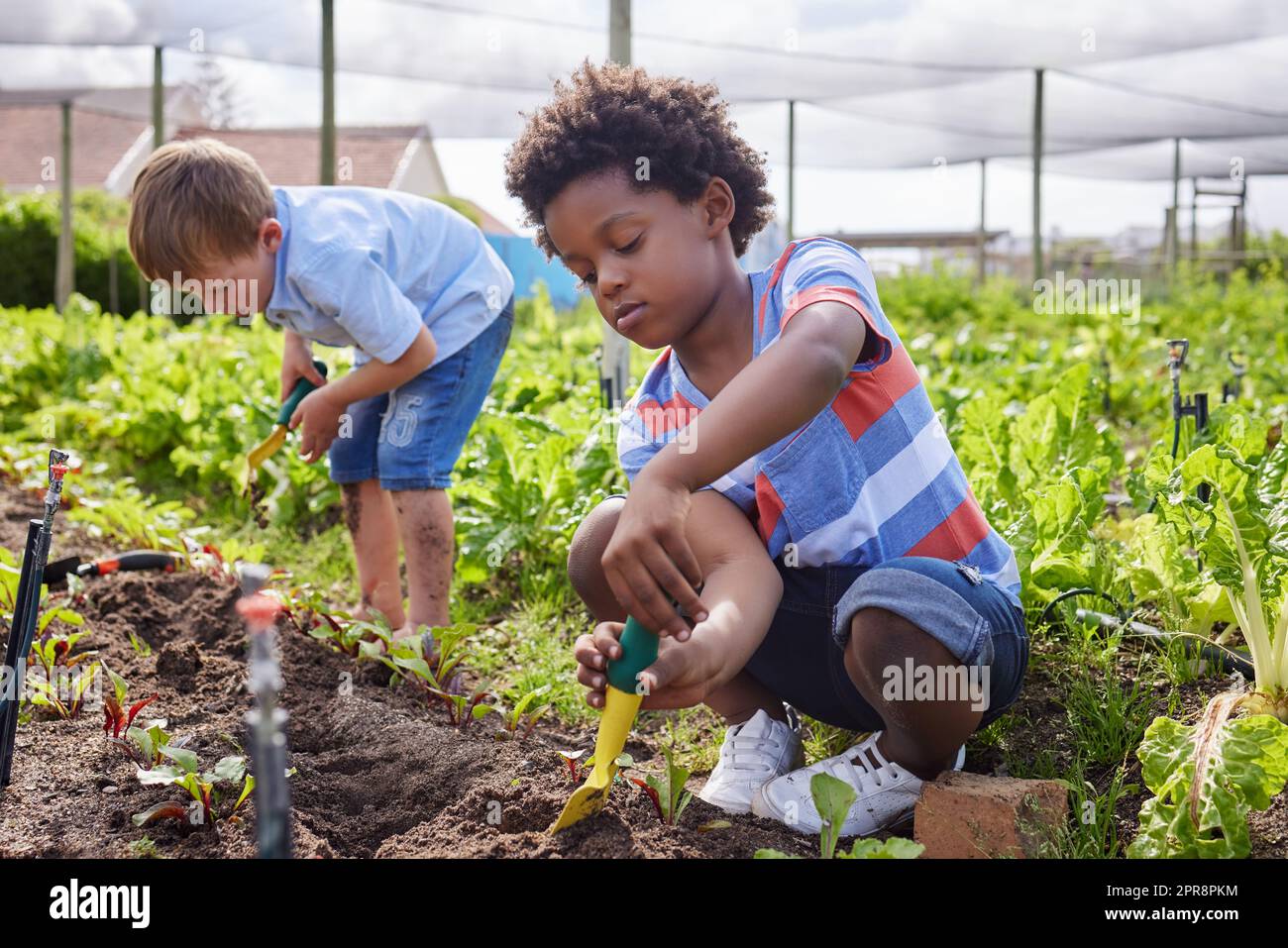 Hands on is the best way to learn. Full length shot of an adorable ...