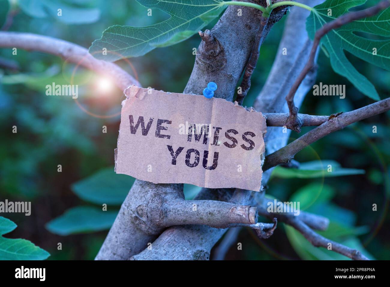 Sad tree hi-res stock photography and images - Alamy