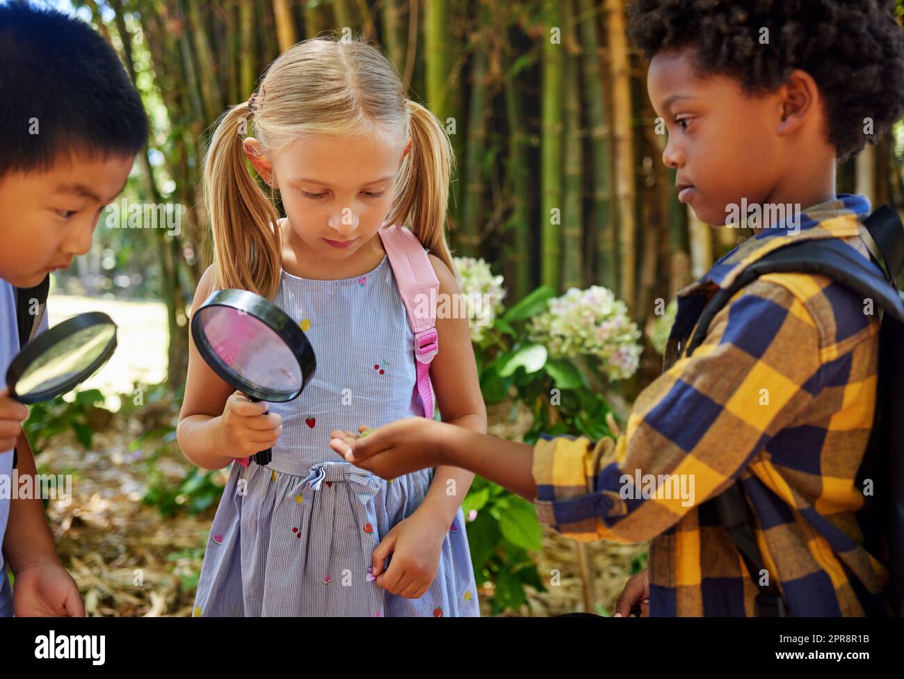 Kids exploring hi-res stock photography and images - Alamy