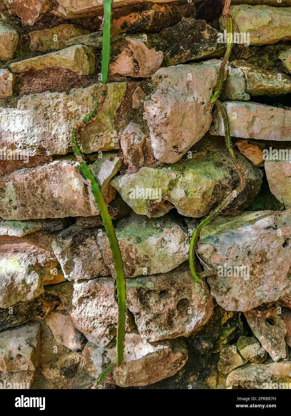 Texture pattern of Tulum ruins Mayan site temple pyramids Mexico Stock ...