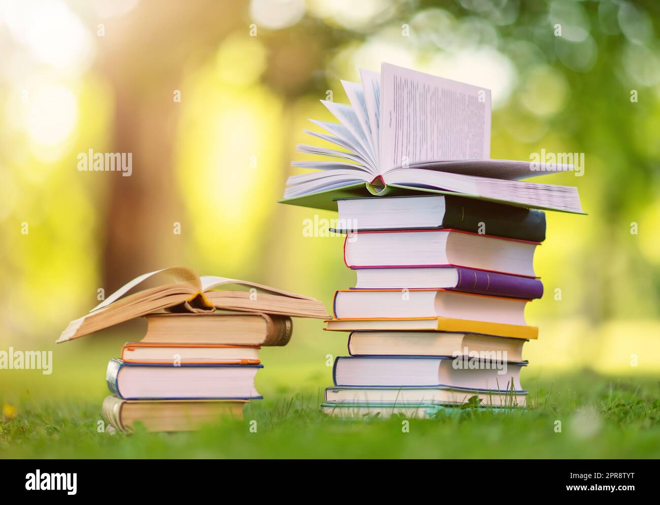 Stacks of the different books are on the green grass in the park Stock ...