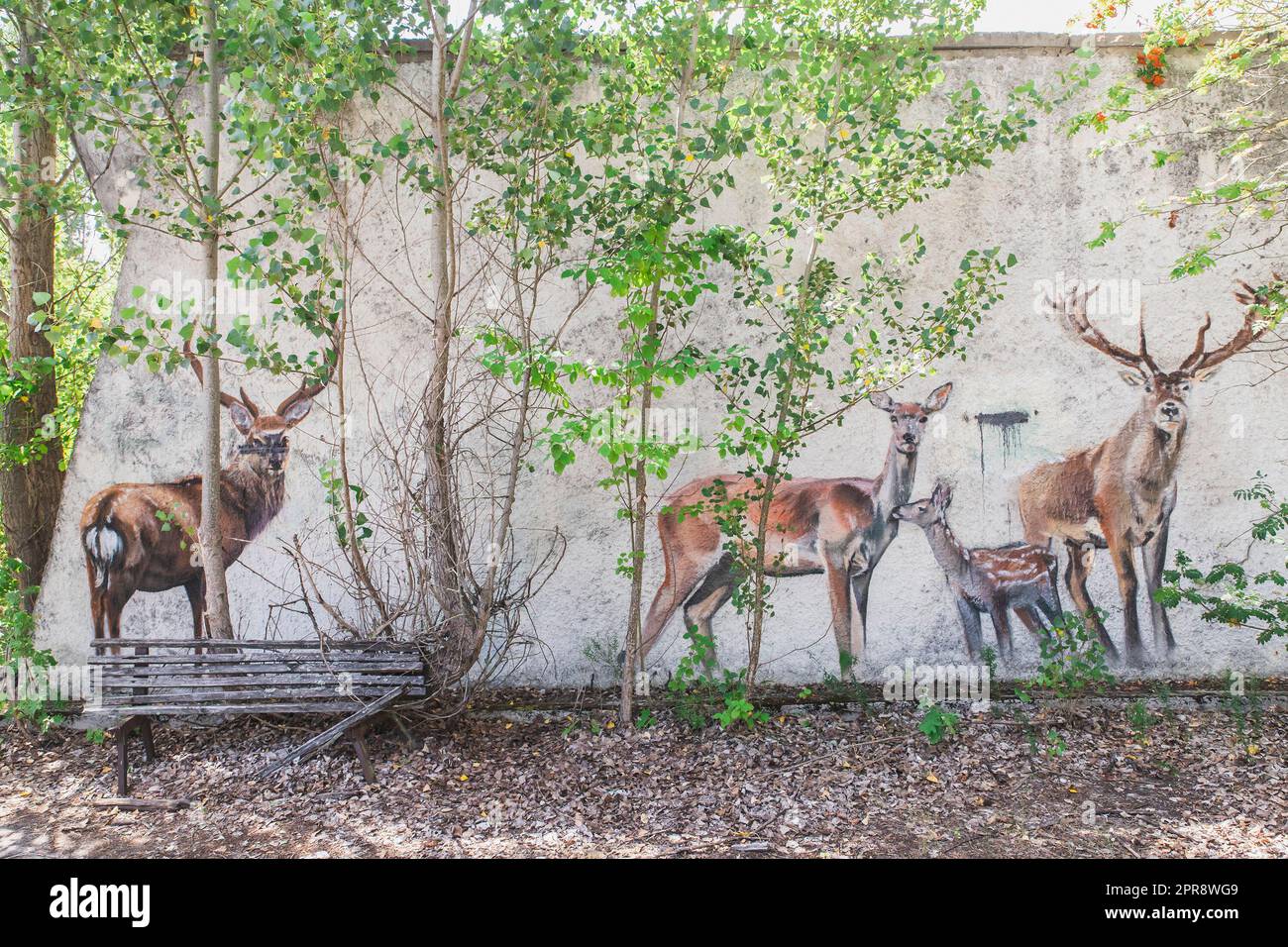 Pripyat, Ukraine, August 2020: Deer painted on a house in Pripyat Stock ...