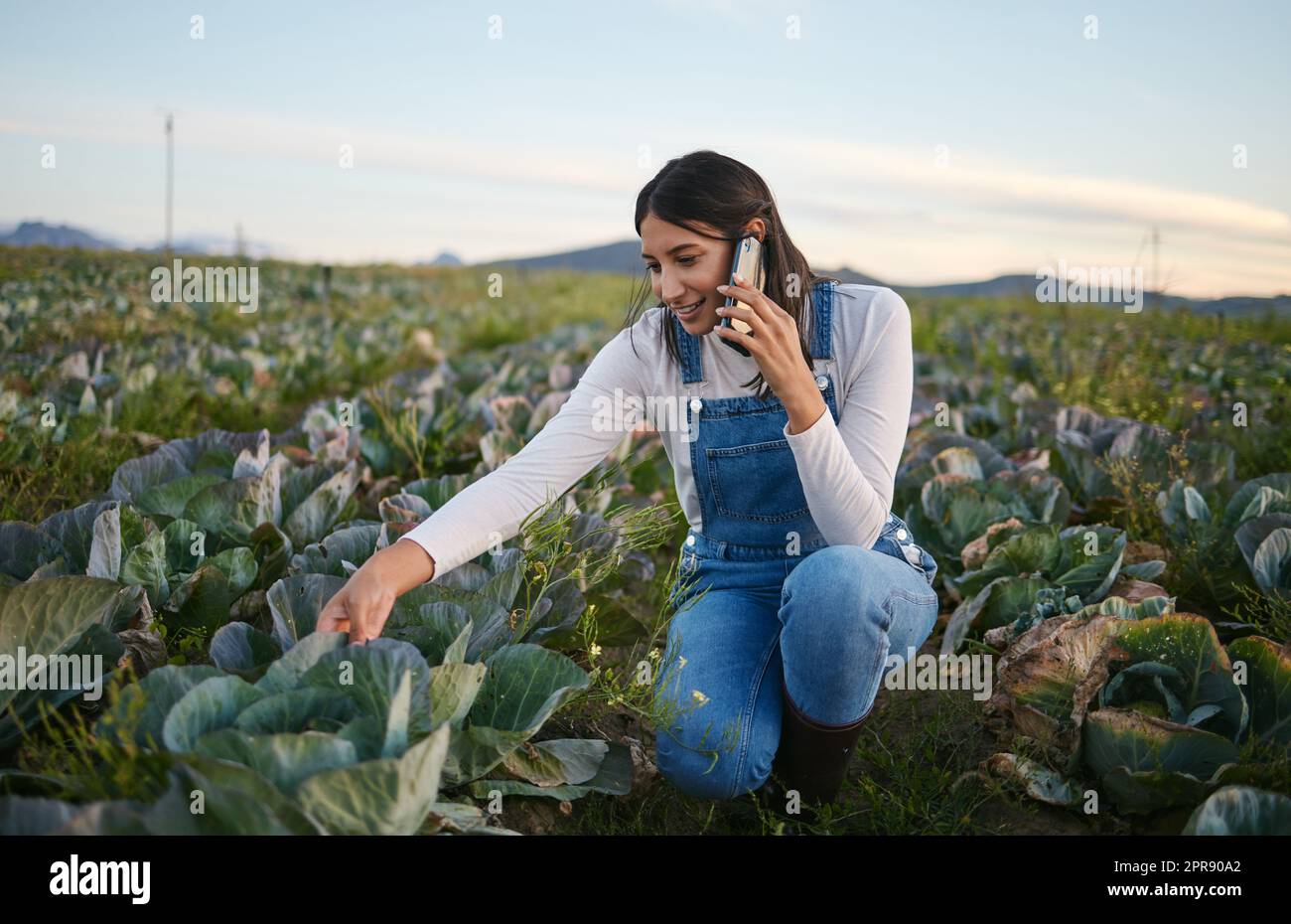 Female sitting on plant hi-res stock photography and images - Alamy