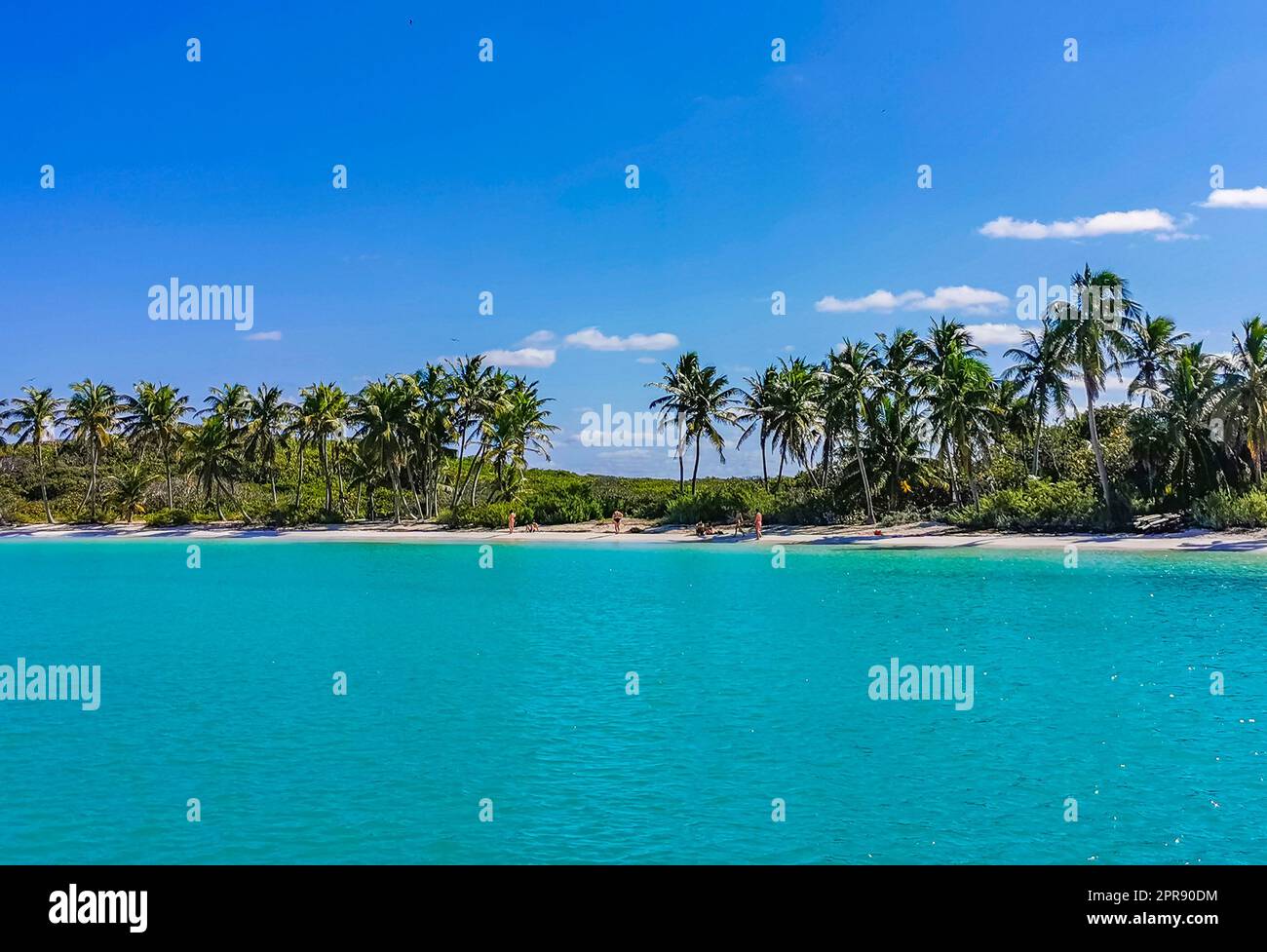 Panorama beach forest hi-res stock photography and images - Alamy
