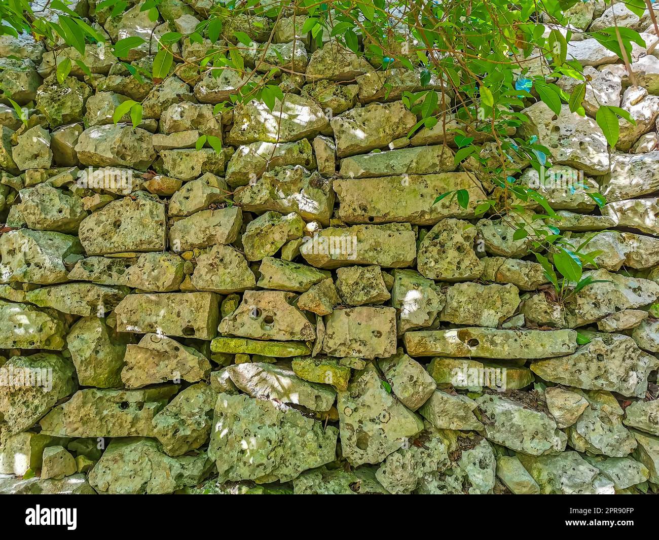 Texture pattern of Tulum ruins Mayan site temple pyramids Mexico Stock ...