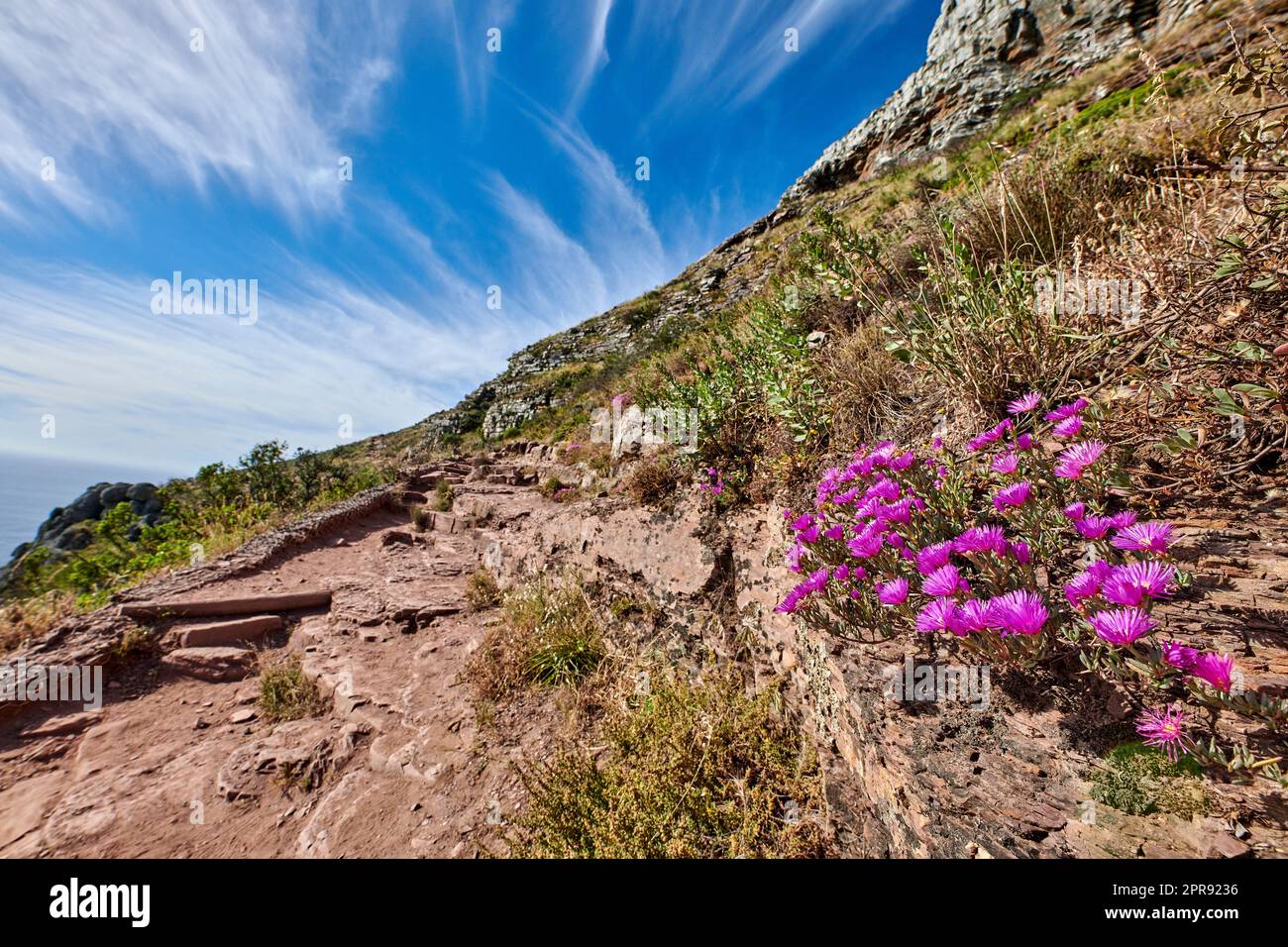 Lush green area hi-res stock photography and images - Alamy
