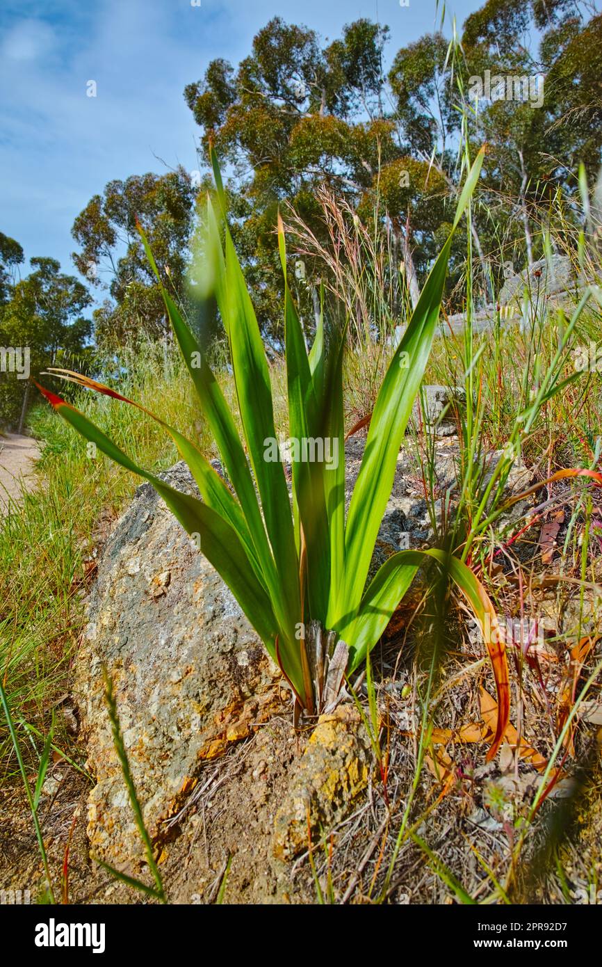 Quiet flag hi-res stock photography and images - Alamy