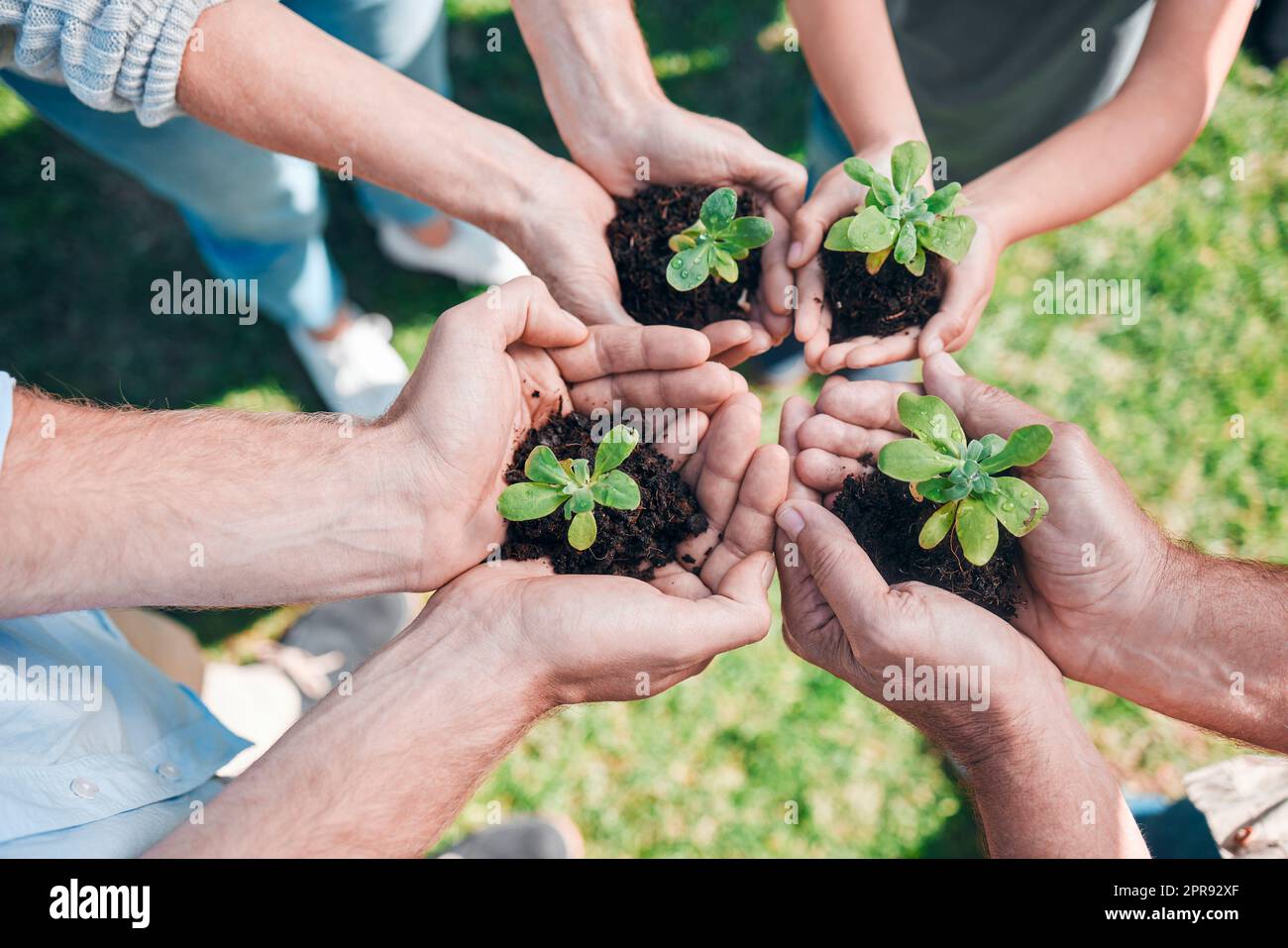 Angelic energy. a group of unrecognizable people holding plants growing ...