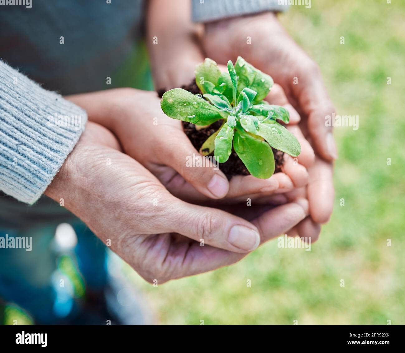 Little soil hi-res stock photography and images - Alamy