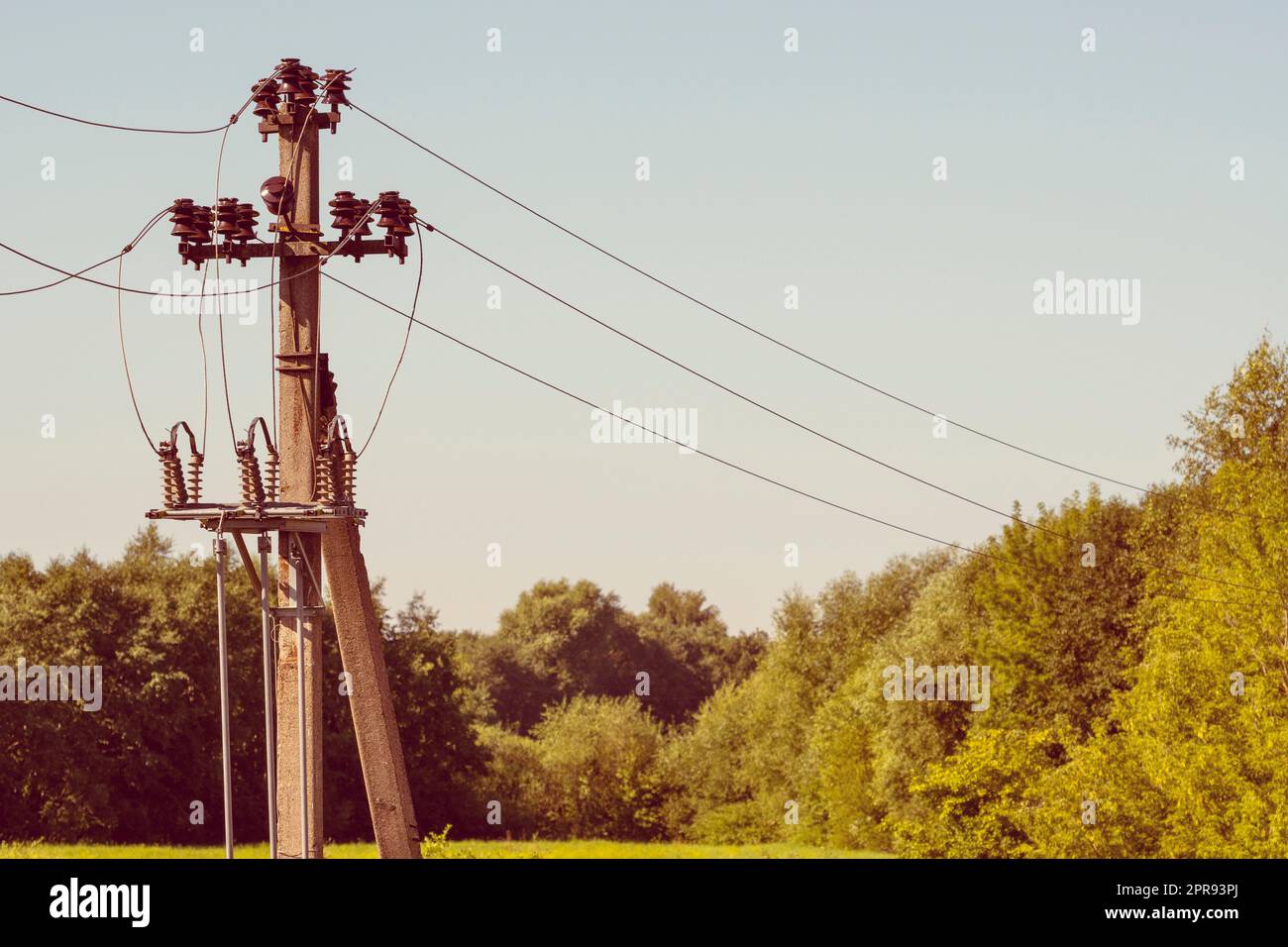 Electrical wires against the background of a green forest Stock Photo ...