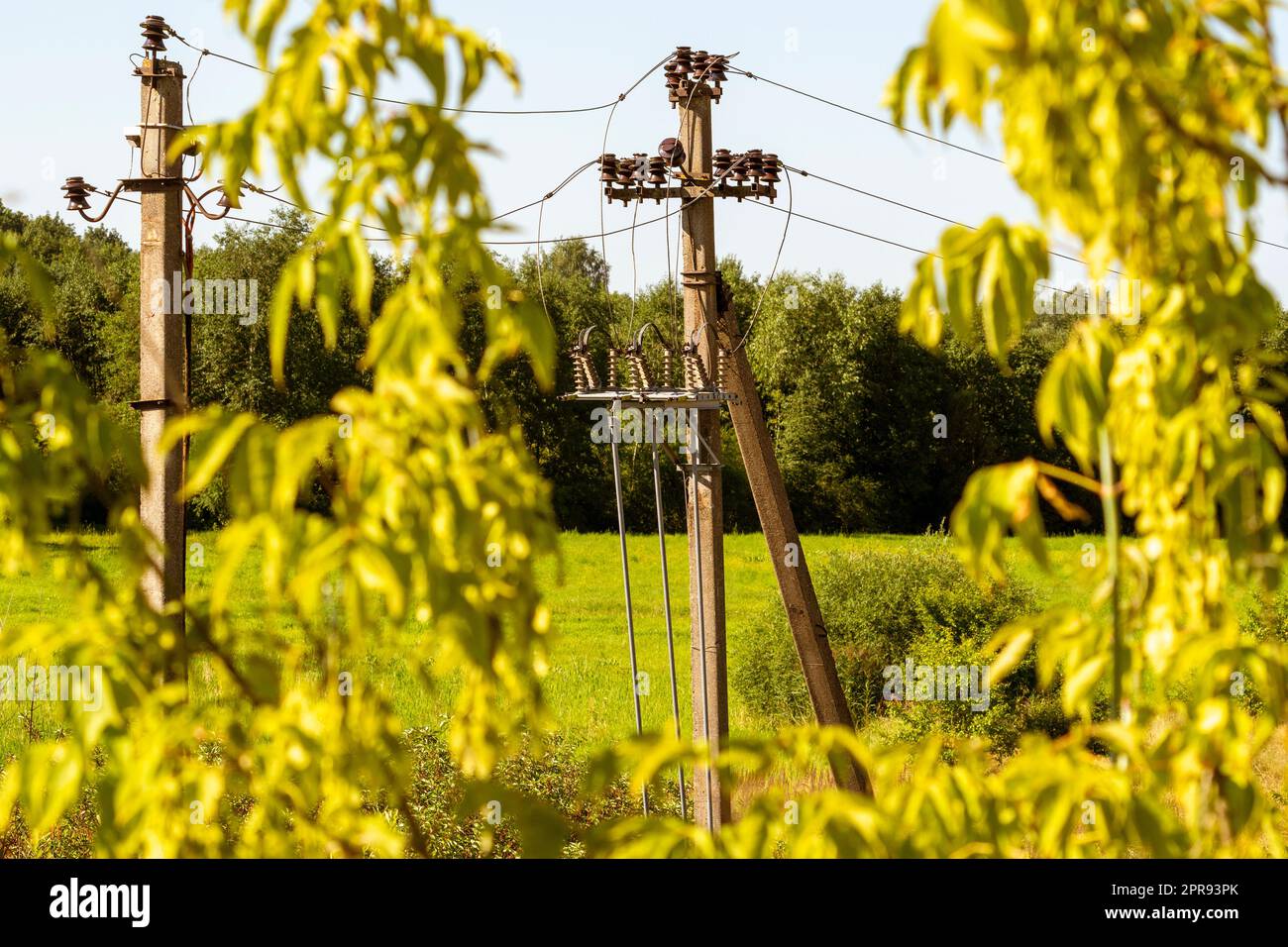 Tree trees energy power hi-res stock photography and images - Alamy