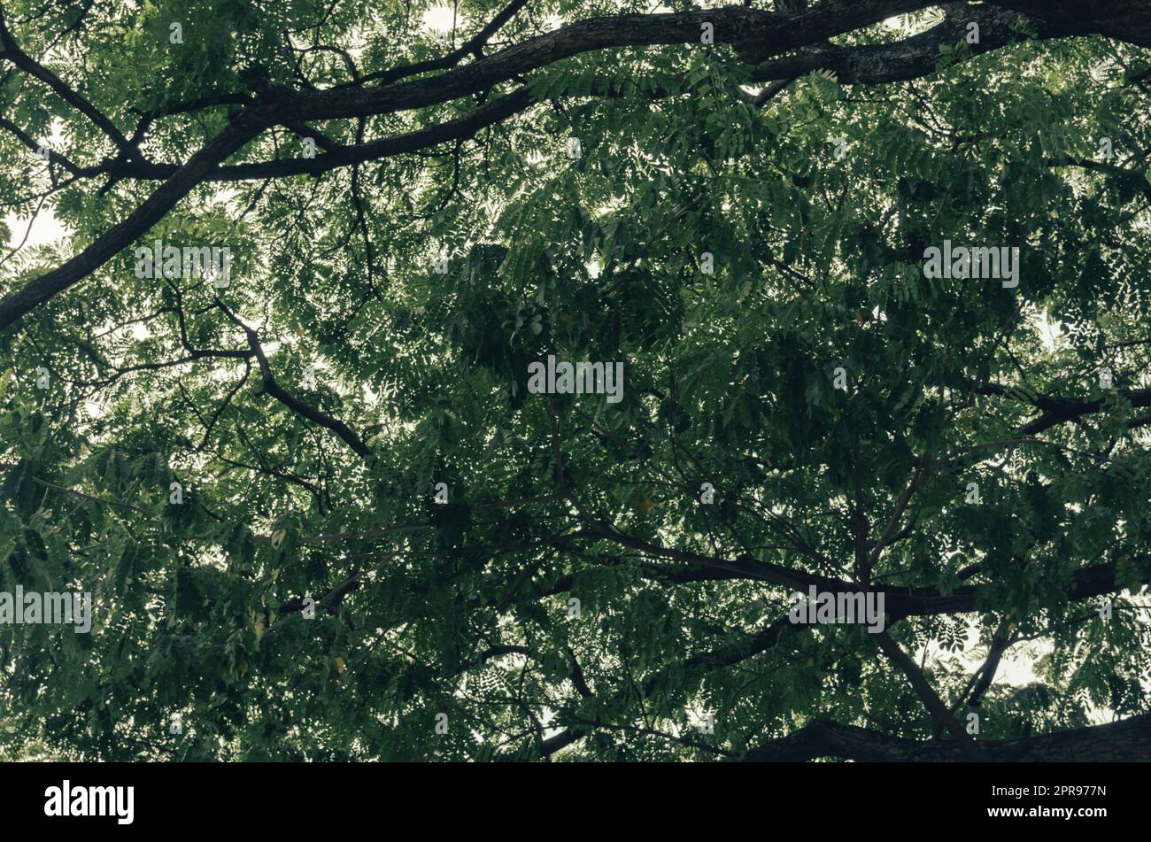 Shot angle hi-res stock photography and images - Alamy