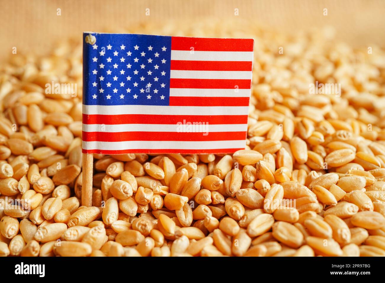 USA America on grain wheat, trade export and economy concept Stock ...