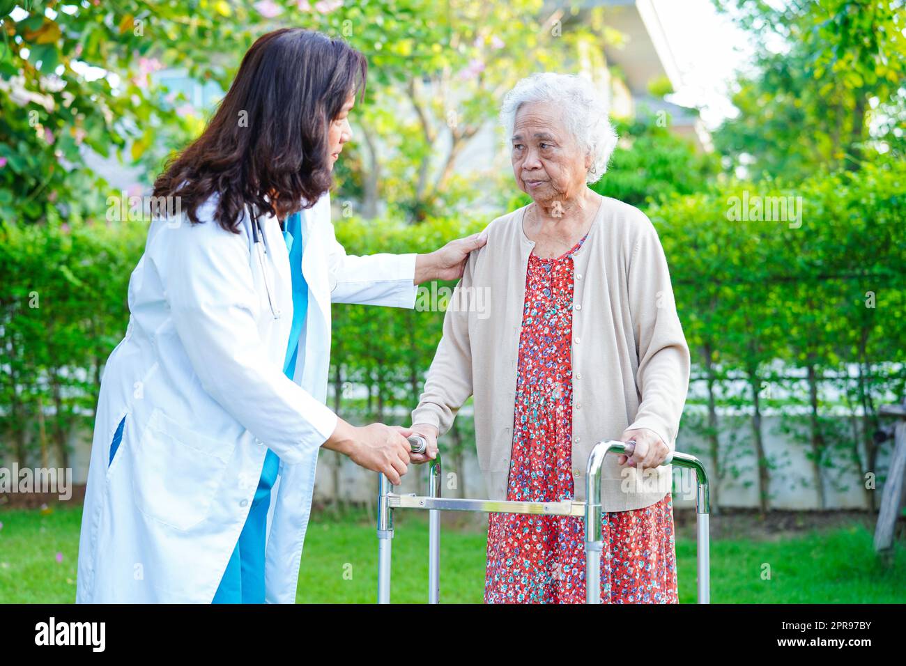 Doctor help Asian elderly woman disability patient walk with walker in ...