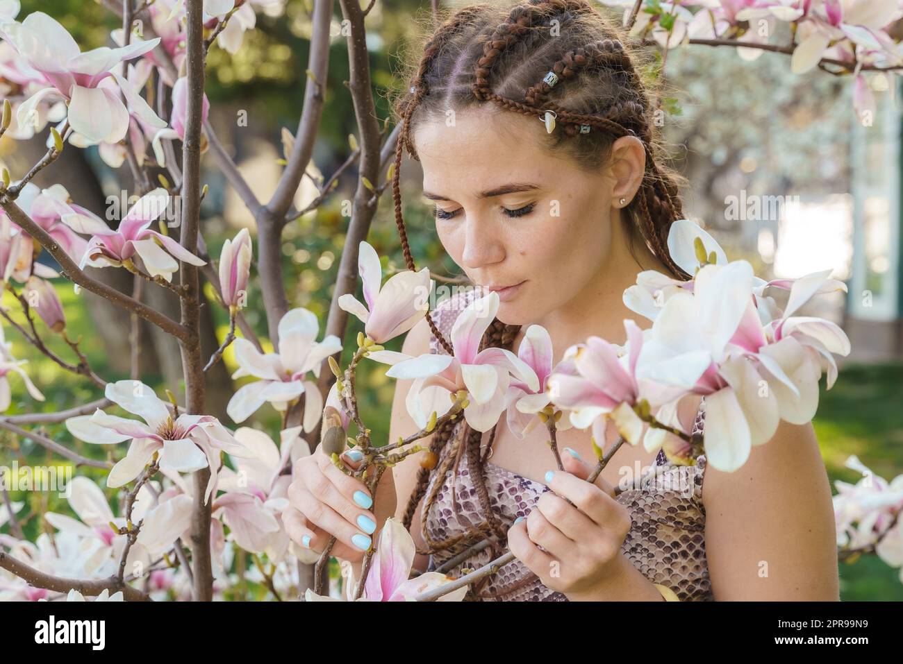 Magnolia flowers, a girl smells a blooming magnolia in the park in the ...