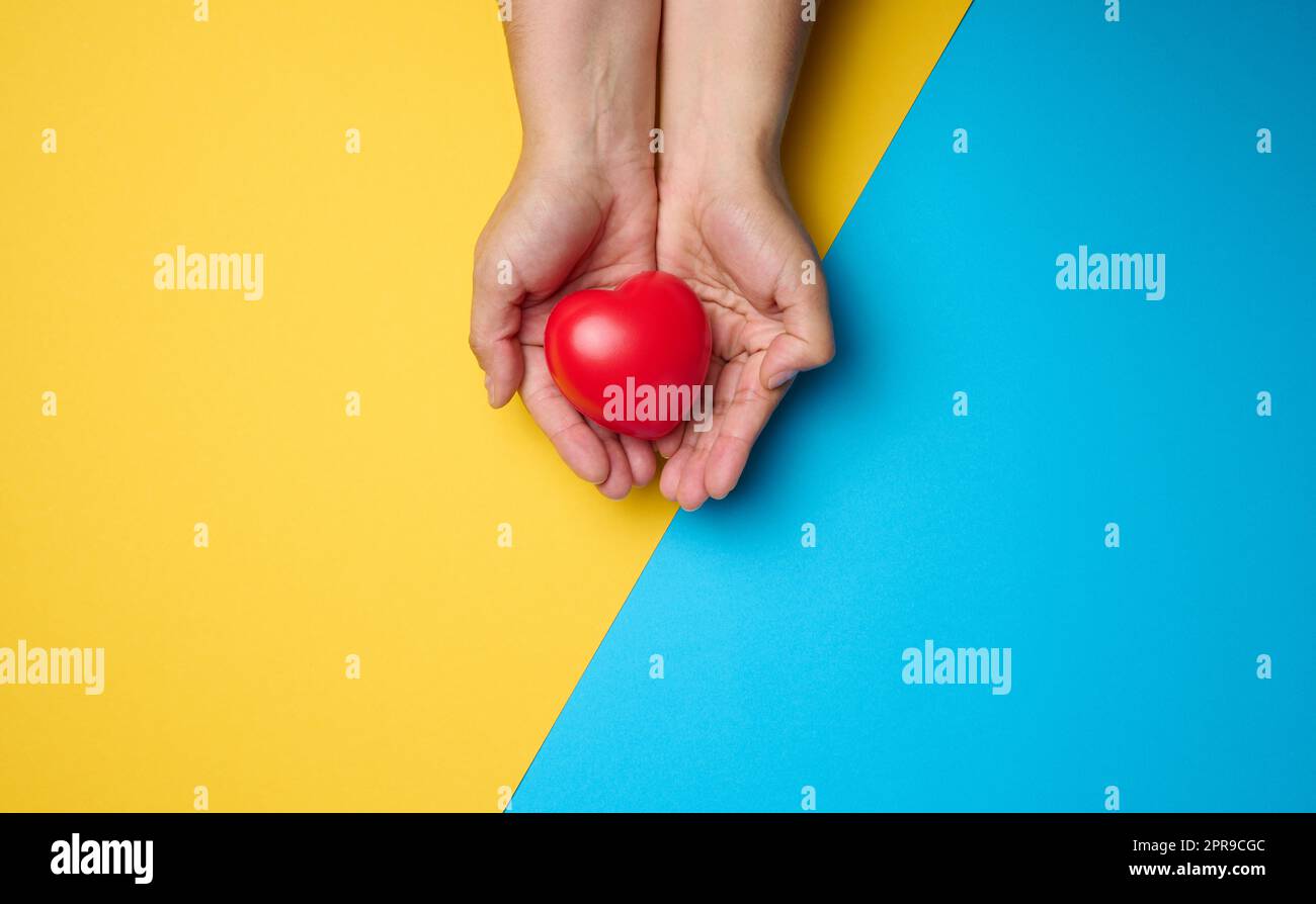 Female hands holds red heart, blue yellow background. Love and donation ...