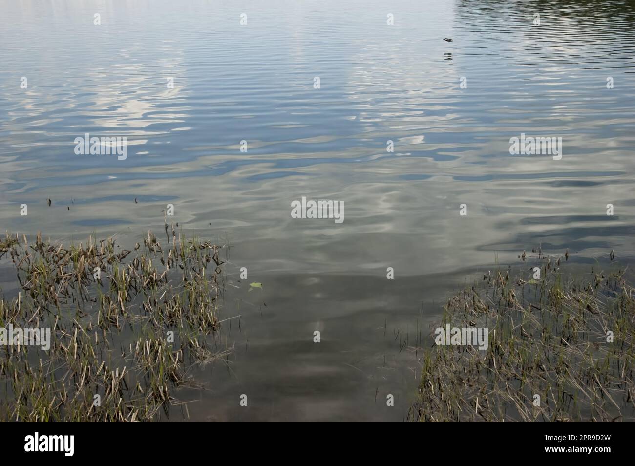 Calm water slight ripples hi-res stock photography and images - Alamy