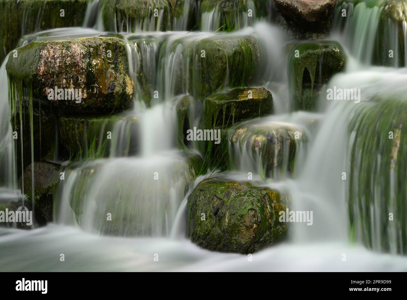 Canopy cascade hi-res stock photography and images - Alamy