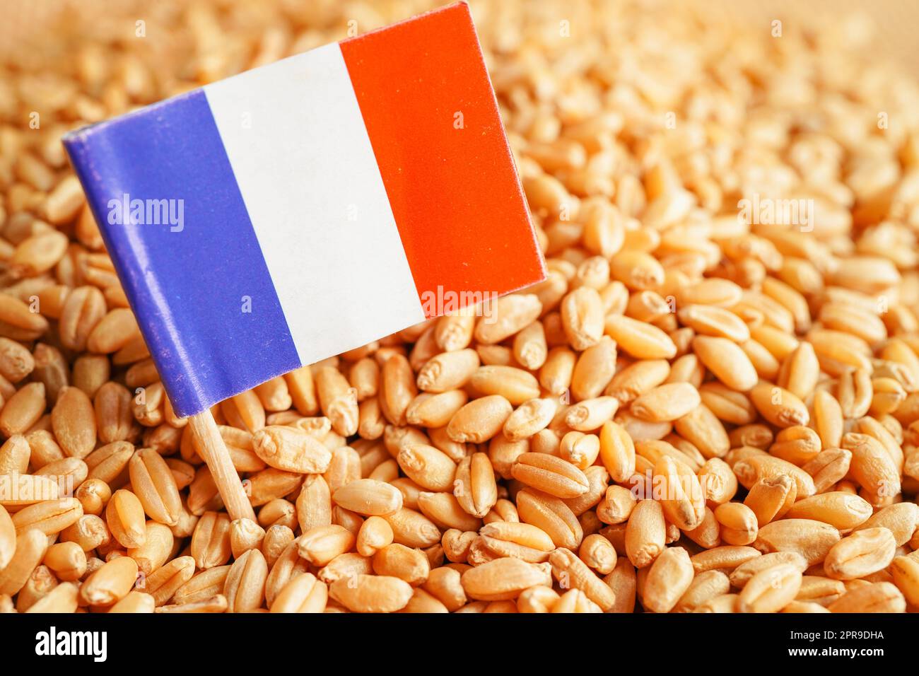 France on grain wheat, trade export and economy concept Stock Photo - Alamy