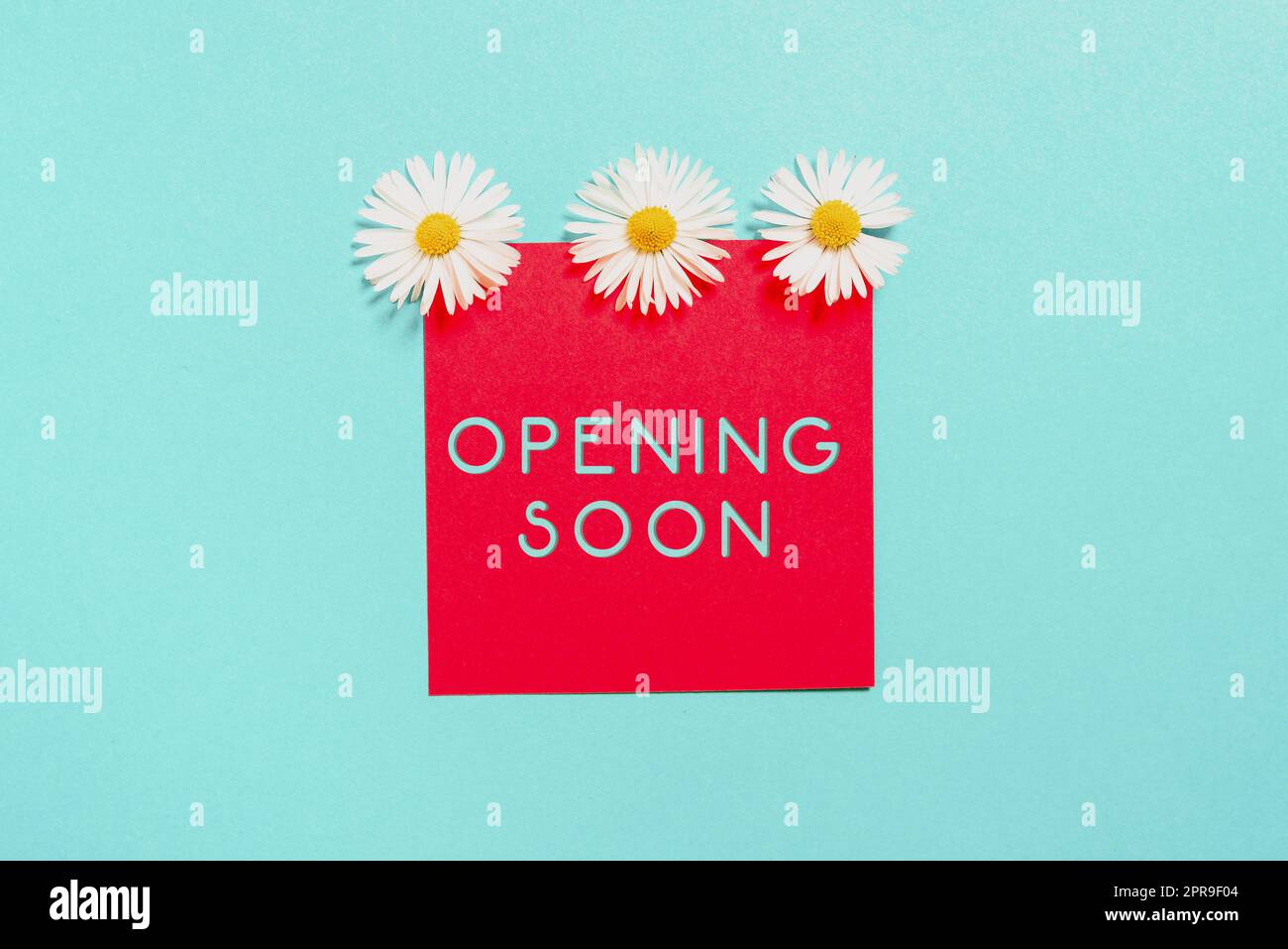 Writing displaying text Opening Soon. Business approach Going to be ... Writing displaying text Opening Soon. Business approach Going to be ...