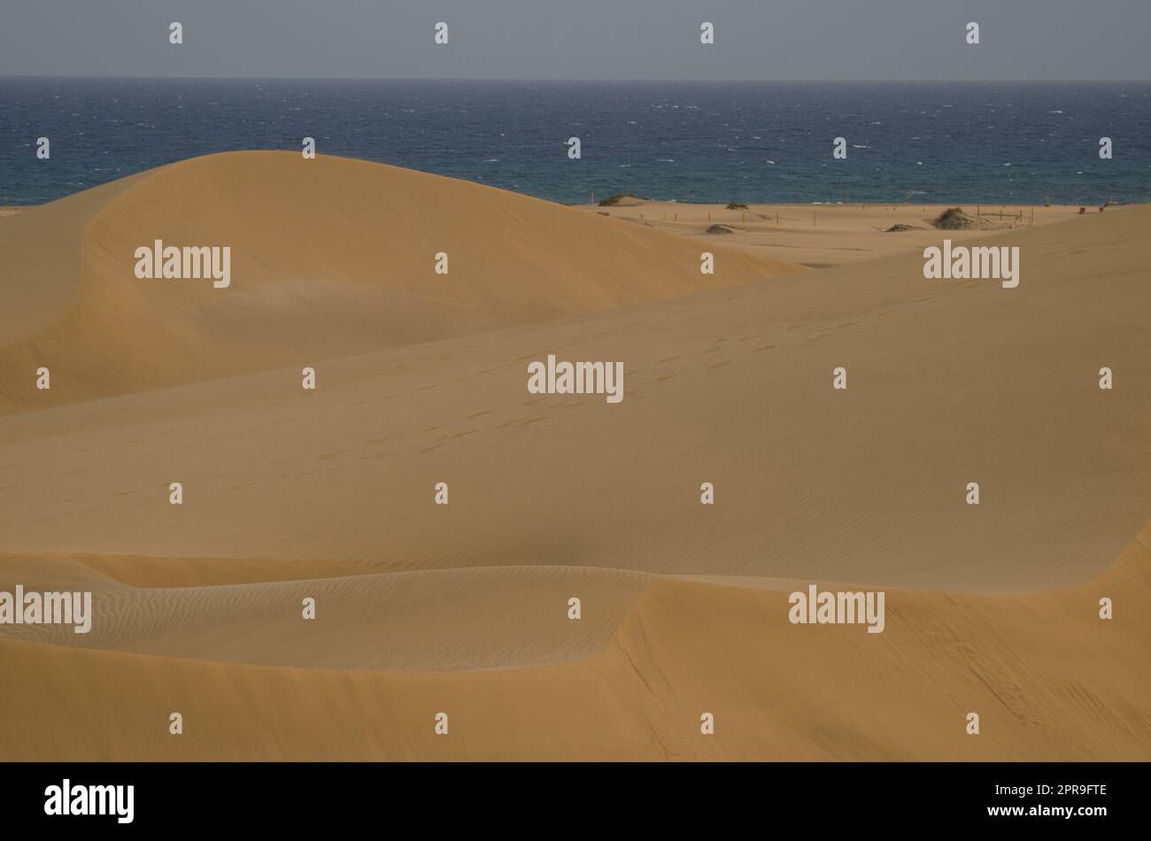 Sand dunes and Atlantic Ocean Stock Photo - Alamy