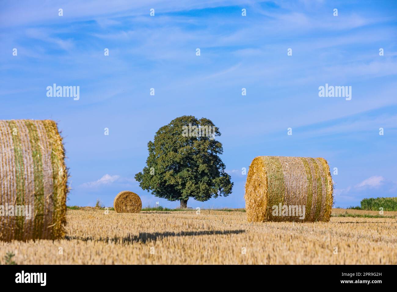Hey balls hi-res stock photography and images - Alamy