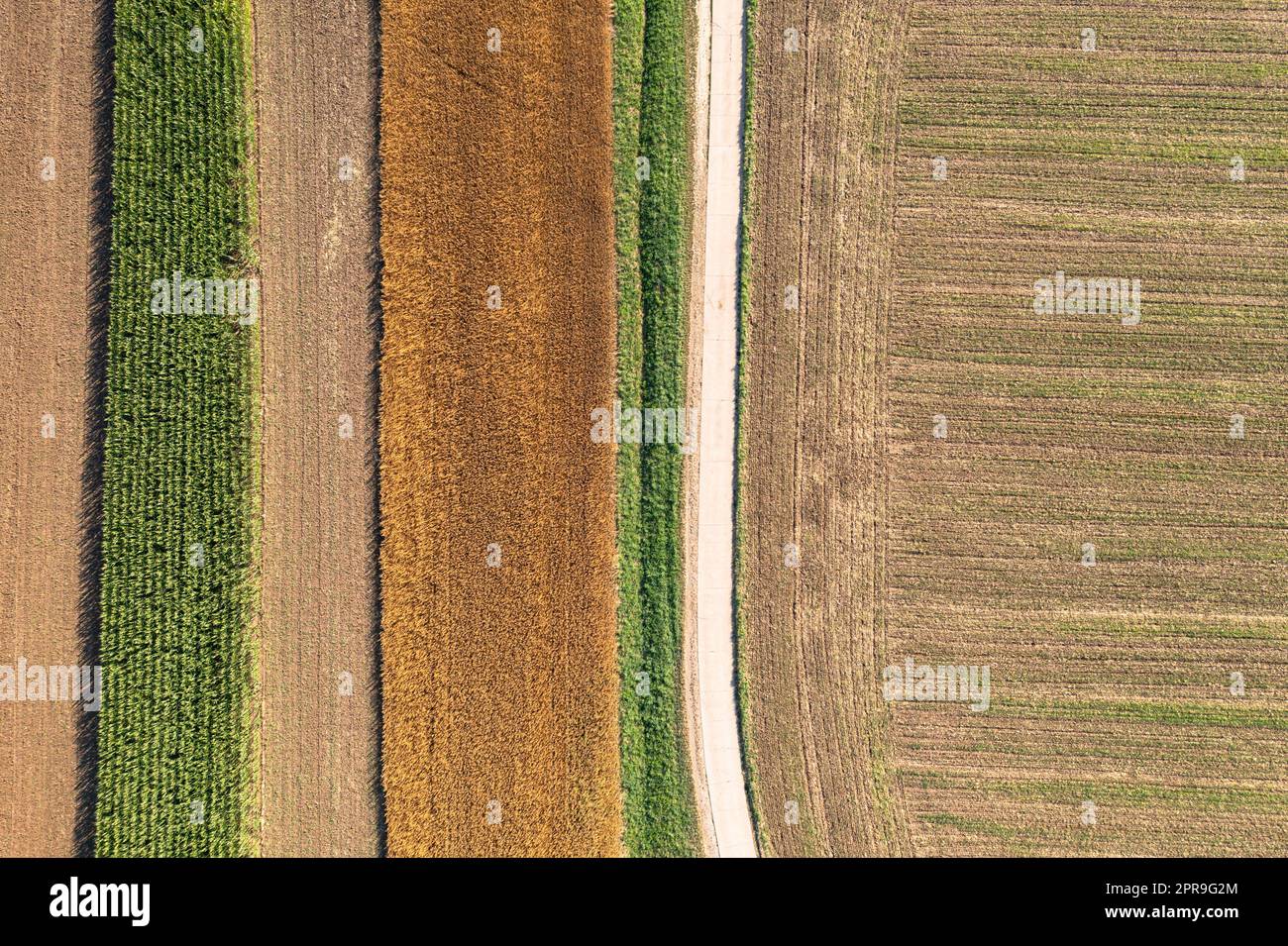 Corn field aerial hi-res stock photography and images - Alamy