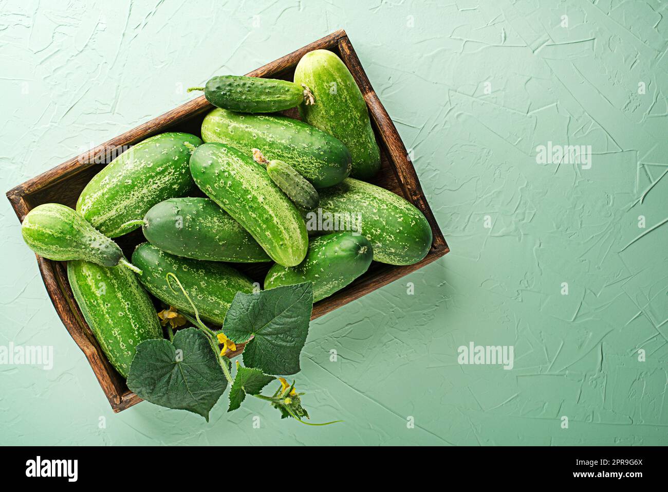 Cucumber harvest cucumber hi-res stock photography and images - Alamy