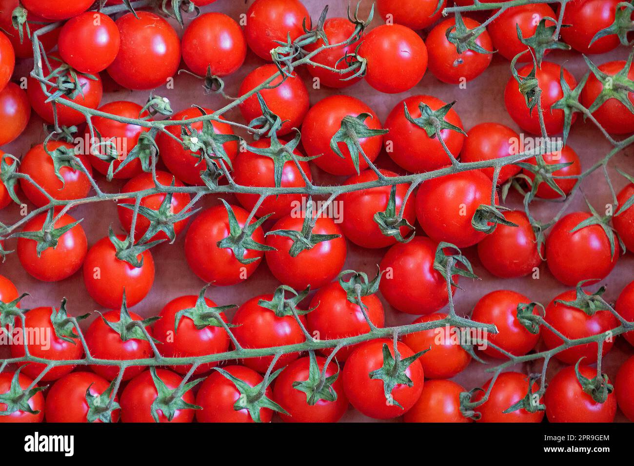 Red cherry tomatoes on vine Stock Photo - Alamy