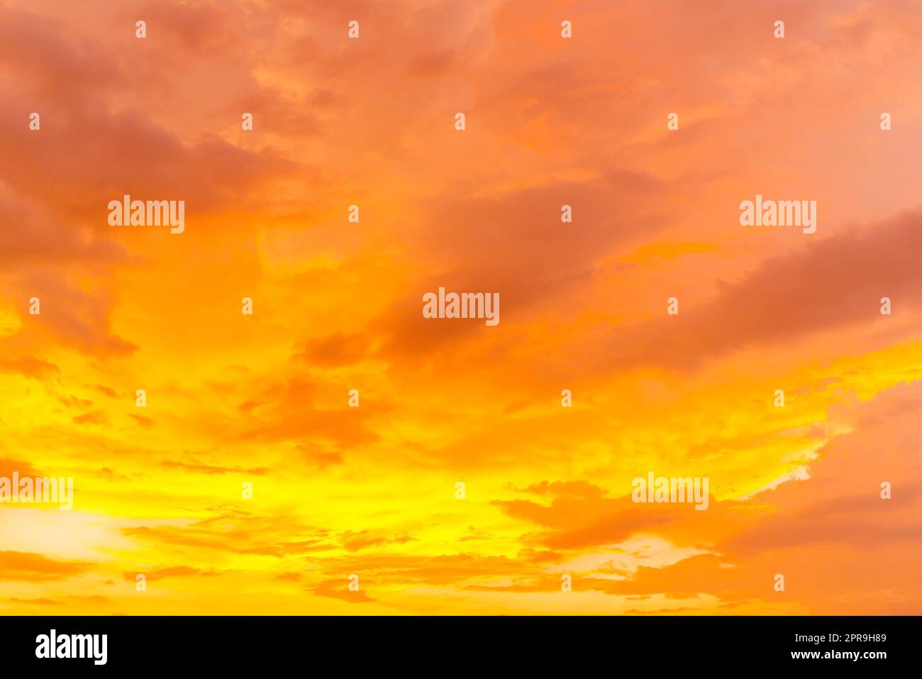Trend color background Stock Photo - Alamy